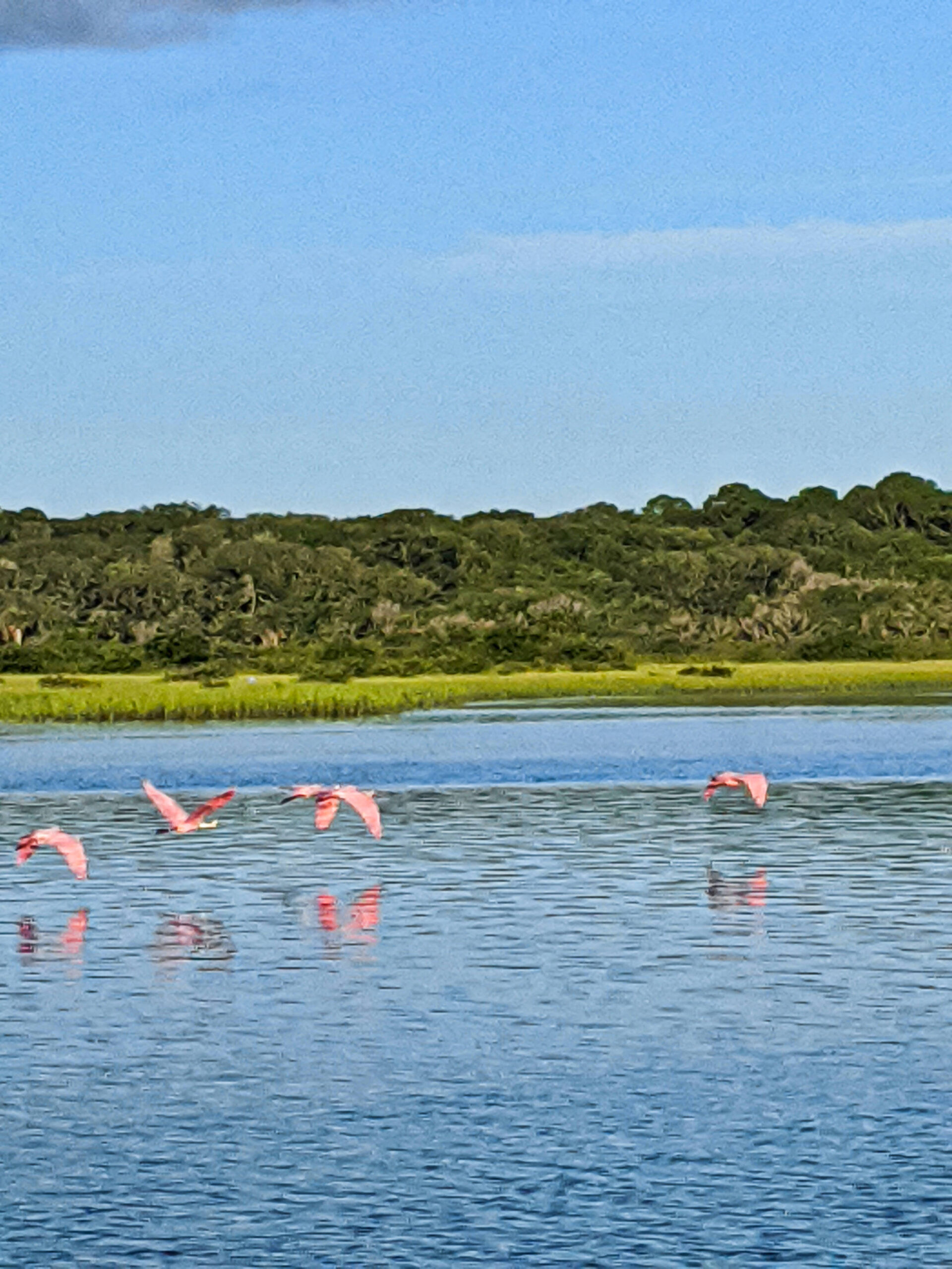 St Augustine's GTM Reserve - Pristine Nature and Beautiful Beaches to ...