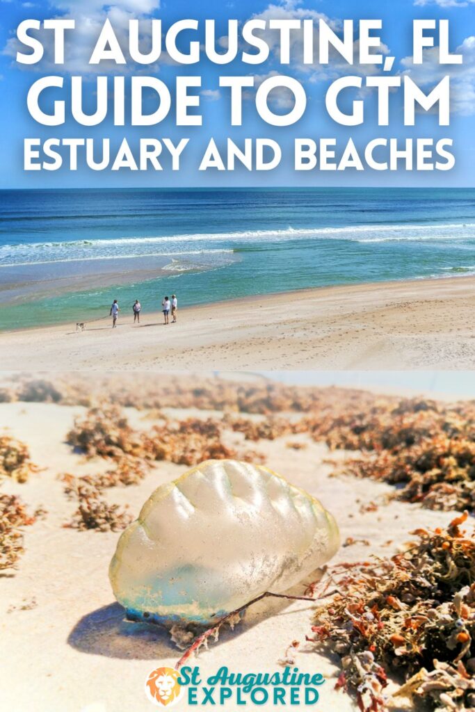 St Augustine's GTM Reserve - Pristine Nature and Beautiful Beaches to ...